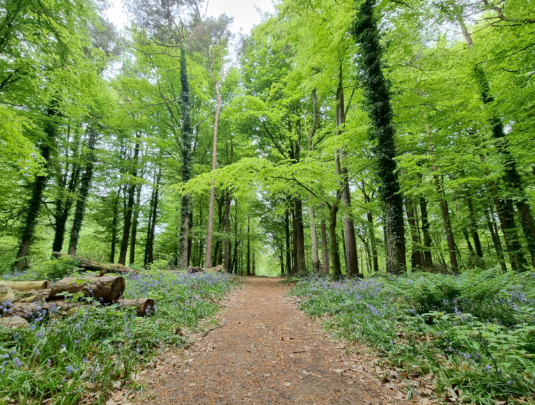 What if our work actually made the world better? - Constructivist