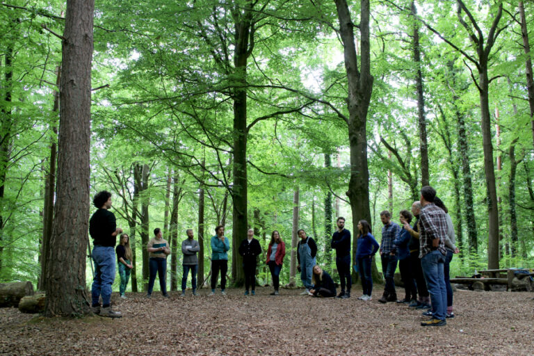 Regenerative Design Lab - Constructivist