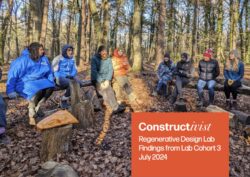 Regenerative Design Lab - Constructivist